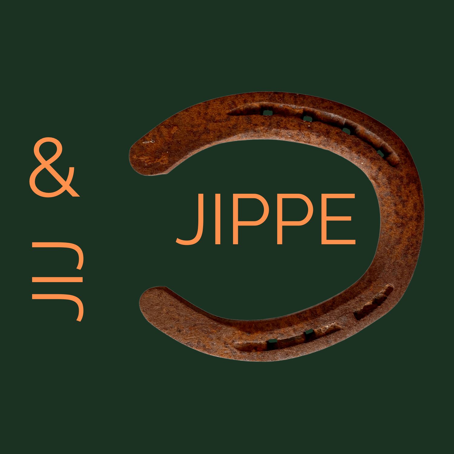 Paardencoaching Apeldoorn | Coaching met paarden | Trauma begeleiding ...